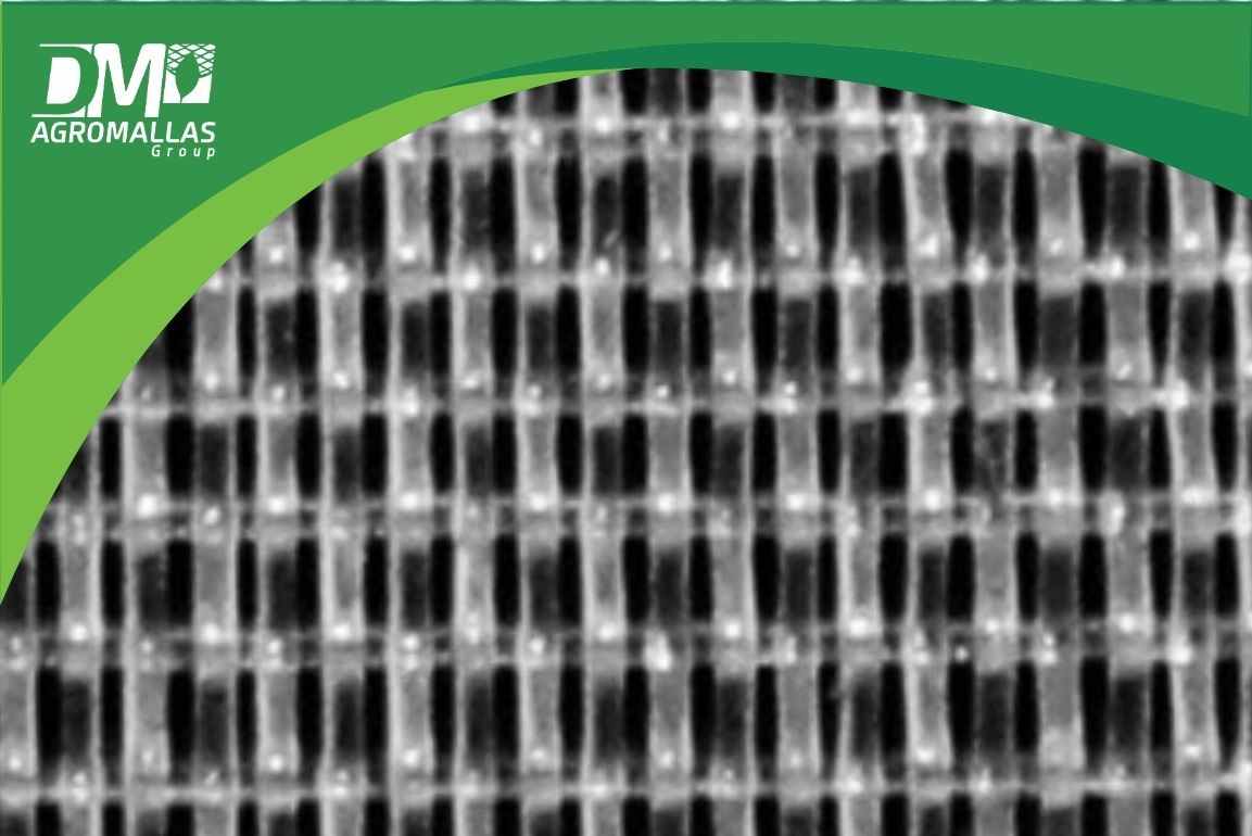 MALLA ANTIAFIDA (25X25) 10/10 - 650 MICRAS - DM Agromallas