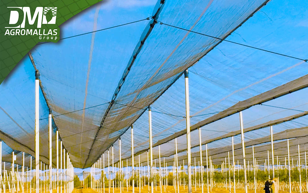 malla protectora de granizo Archivos - DM Agromallas