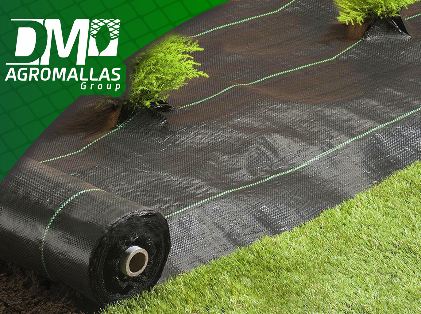 ¡Evita la hierba en tus cultivos con la Malla Anti-maleza Ground Cover ...