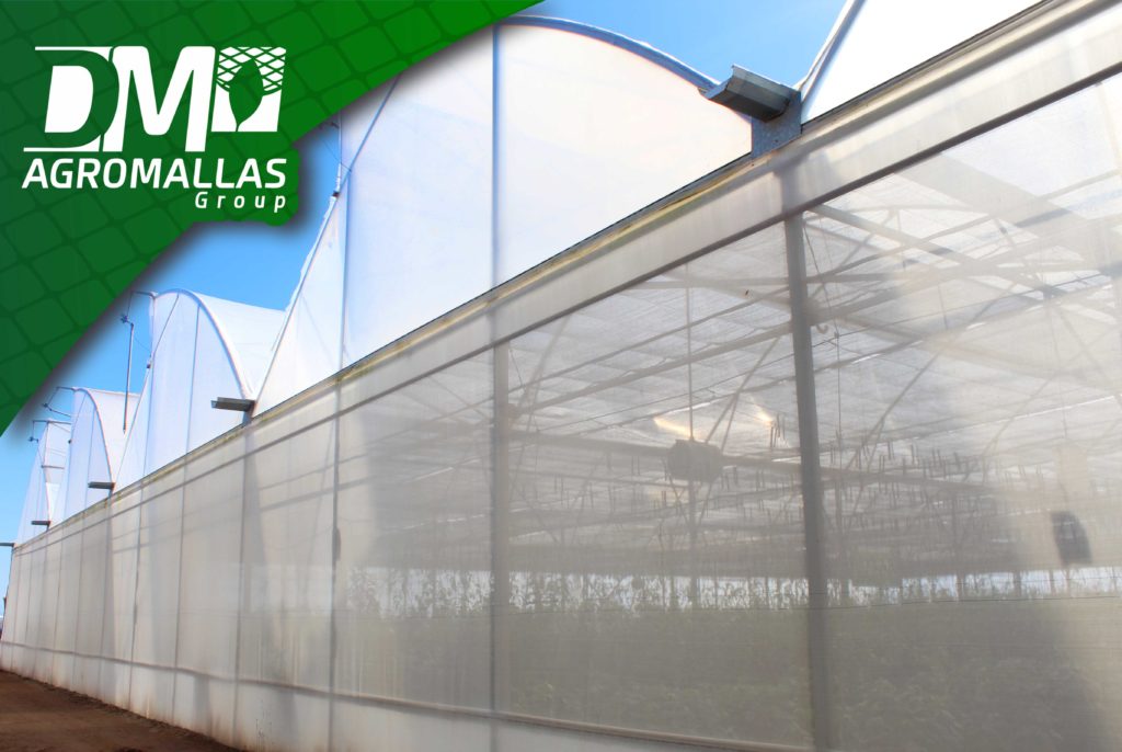 ¡Protege tus cultivos con malla antiáfidos: la barrera contra insectos ...