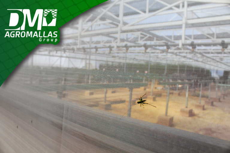 ¡Protege tu cultivo con La Malla Anti-Insectos para evitar el ingreso ...