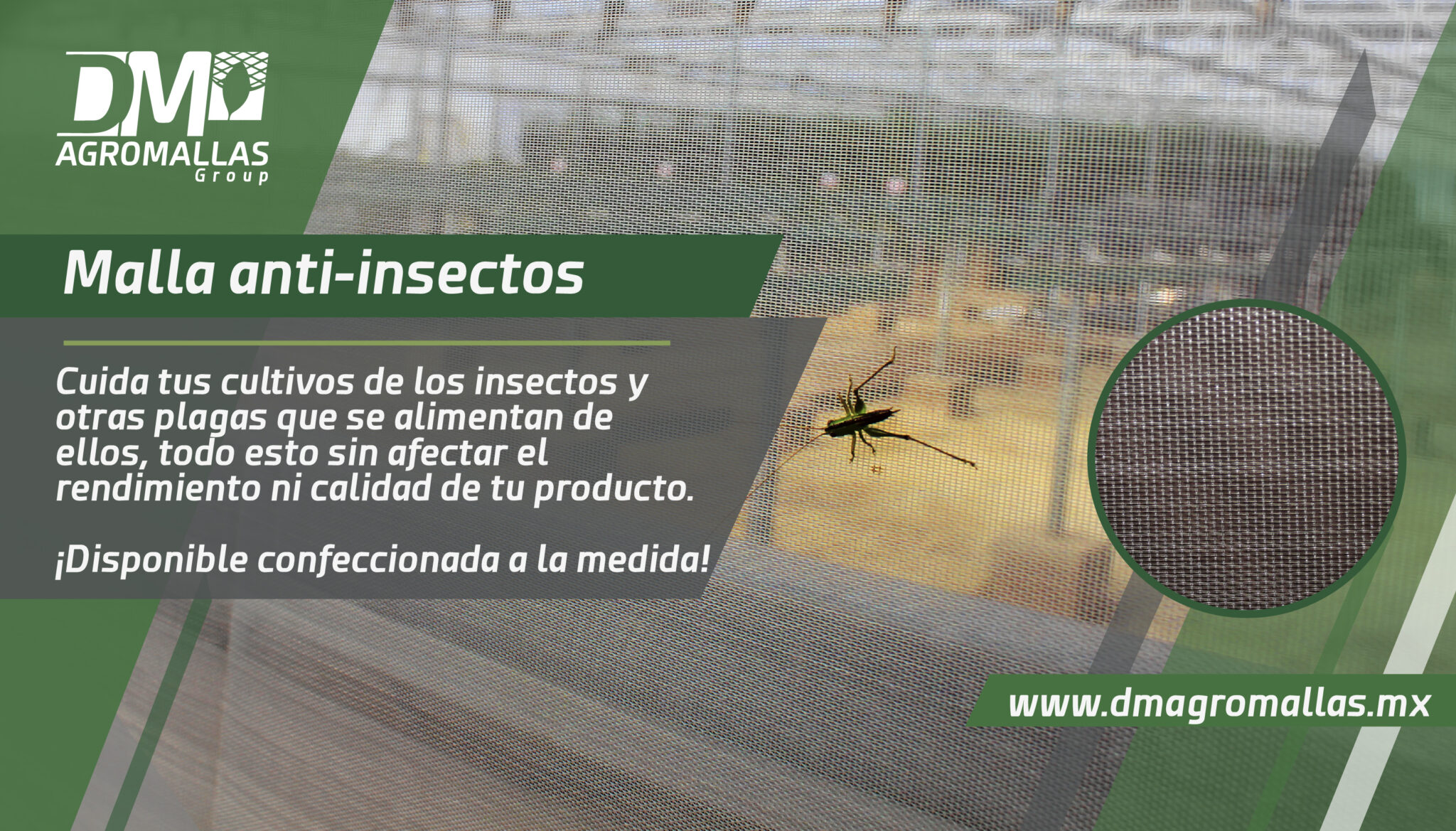Evita que los insectos acaben con tu cultivo agrícola ¡Recubre ...